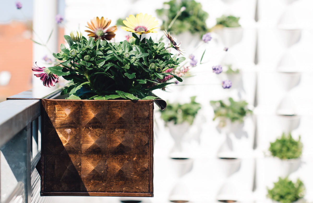 The balcony box experiment – Balcony Living Cph